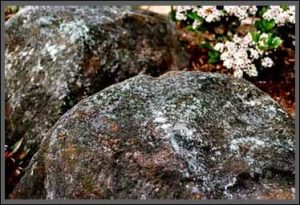 Artificial Rock and Garden Boulders - Make Artificial Rock & Boulders